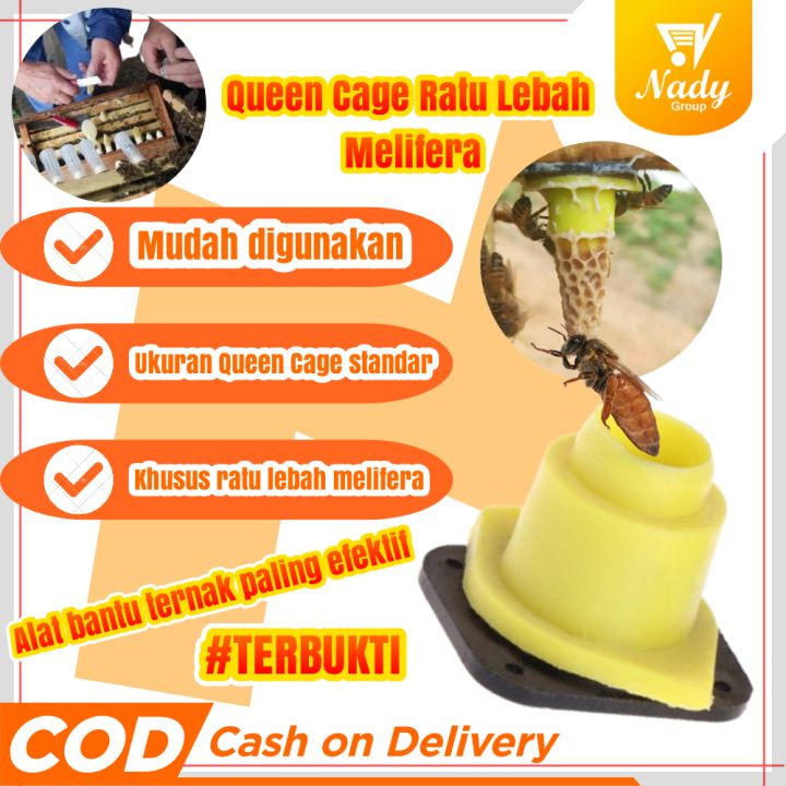 Queen Cage Mangkok Telur Ratu Lebah Melifera Untuk Pembiakan Koloni ...