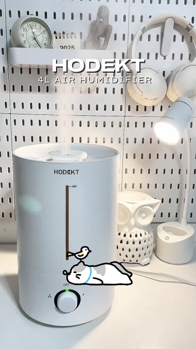 HODEKT 4L Air Humidifier Large Capacity Activated Carbon Purification ...