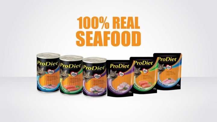 ProDiet Cat Canned Wet Food 400G | Lazada