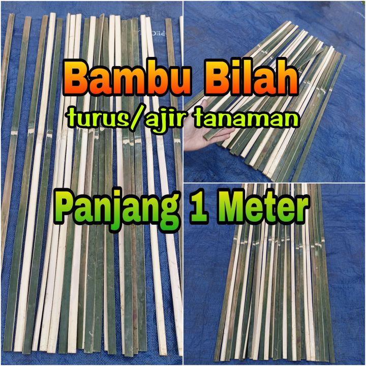 10 Batang Bambu Bilah 1 Meter Turus Ajir Penyangga Tanaman Tinggi 100cm ...