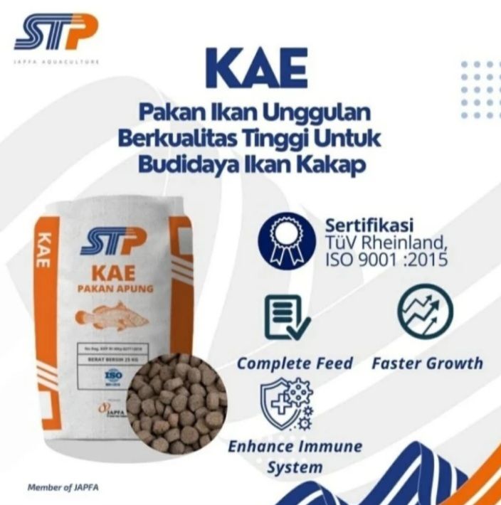 stp KAE pakan ikan apung protein 52% 1kg | Lazada Indonesia