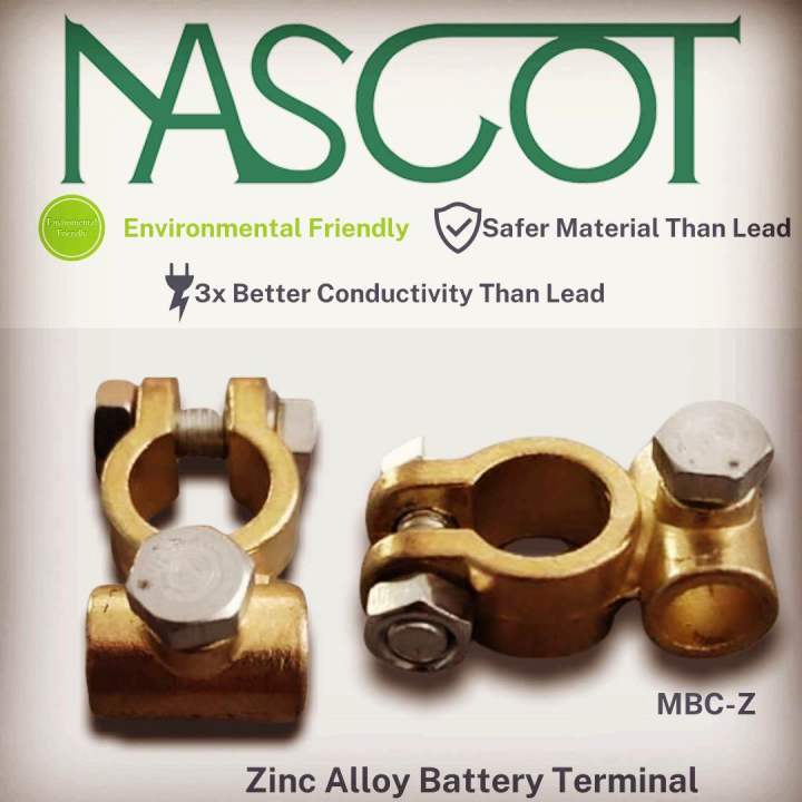 Zinc battery terminal store