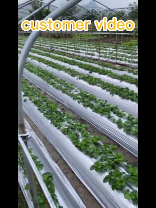 Plastic Mulch 4ft x 400m 1.2m x 400m HEAVY DUTY JAPAN QUALITY Microns Plastic Mulch HEAVY WEIGHT ...