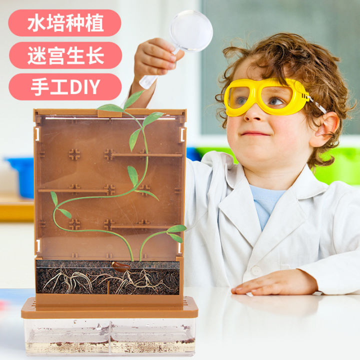 Plant Maze DIY Science Experiment Kit for Kids Handmade Birthday Gift ...