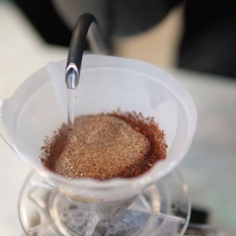 Zero Gravity | Roasted Coffee Arabica & Robusta Blend | Primal Brew | Lazada PH