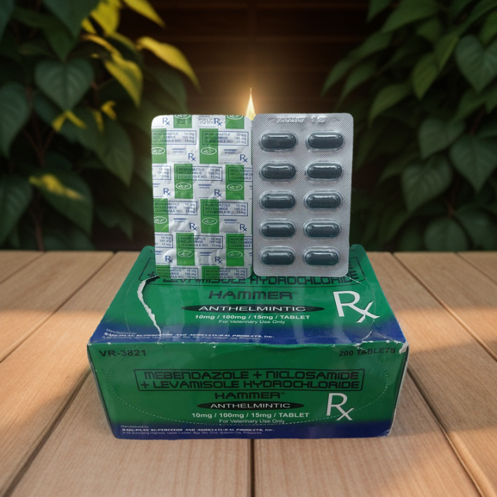 Hammer Anthelmintic tablet sold per (10 tablet) | Lazada PH