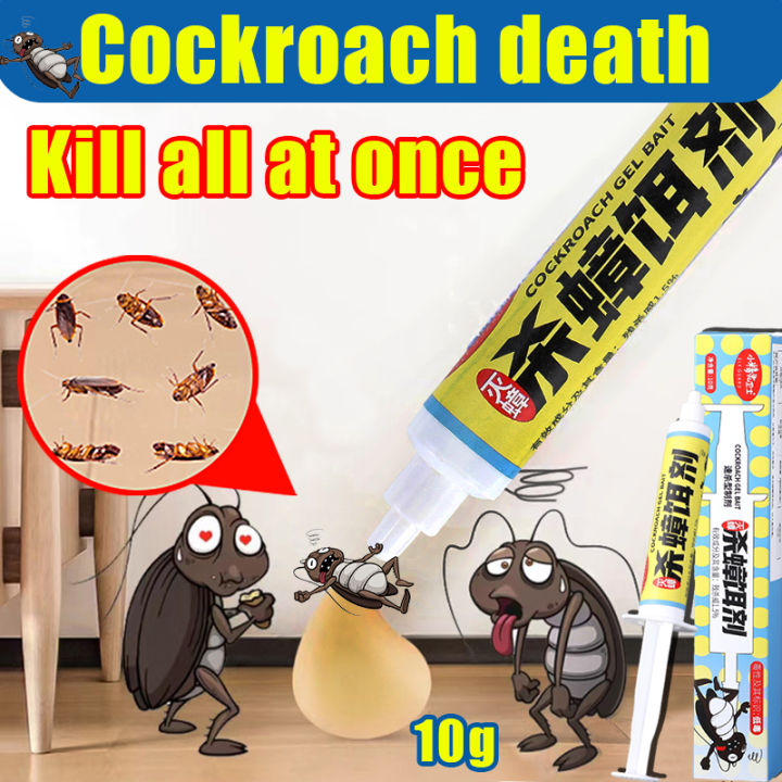Cockroaches died overnight QNS cockroach bait cockroaches killer ...