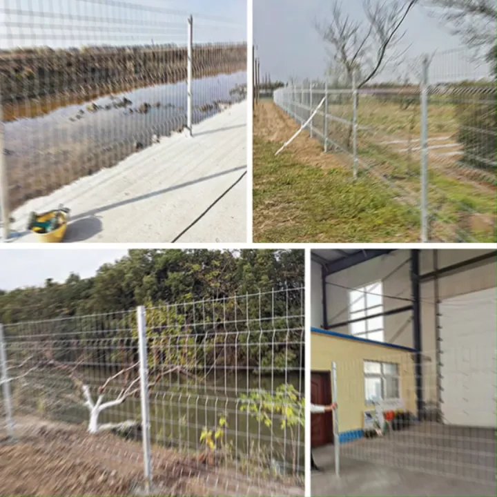 Hot Dipped Galvanized Bilateral Wire Mesh Fence Factory Fish Pond River ...