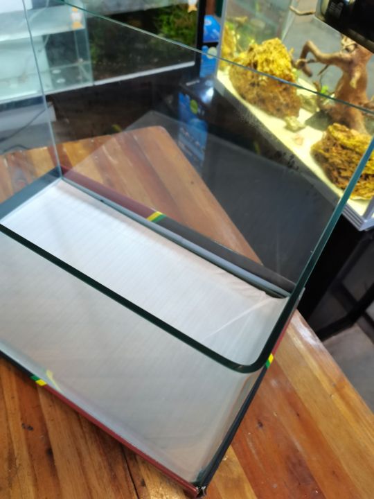 50cm Curve Tank W/O Lid | Lazada PH