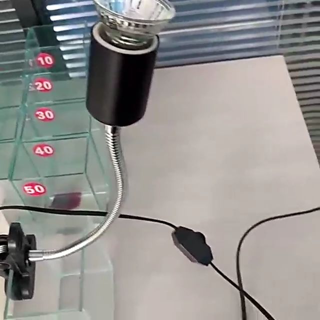 Reptile lamp UVB clip type lamp with rotatable lamp head turtle sun ...