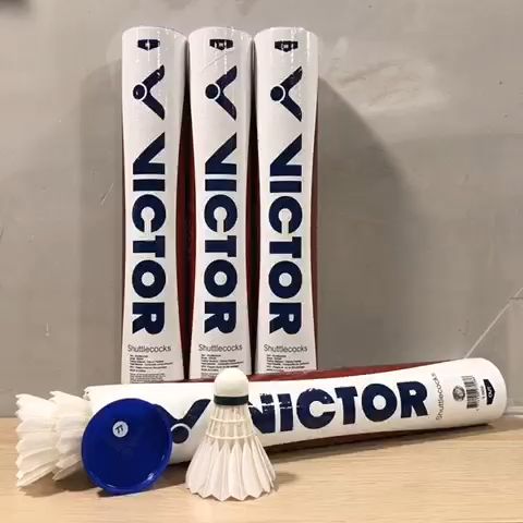 New Victor Badminton Shuttlecocks Swan 77 100% Original | Lazada