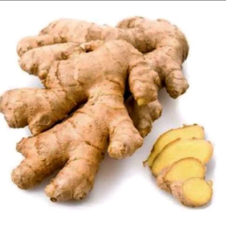 Jahe putih segar/ jahe gajah fresh / jahe sayur kualitas super | Lazada ...