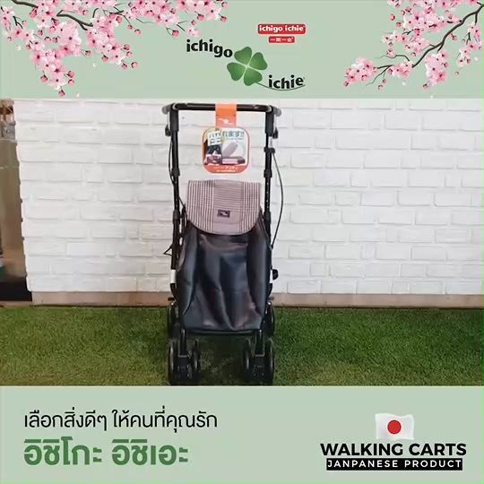 รถเข็นช่วยเดิน Walking Cart รุ่น UX-2 อิชิโกะ-อิชิเอะ สินค้าแบรนด์ ...