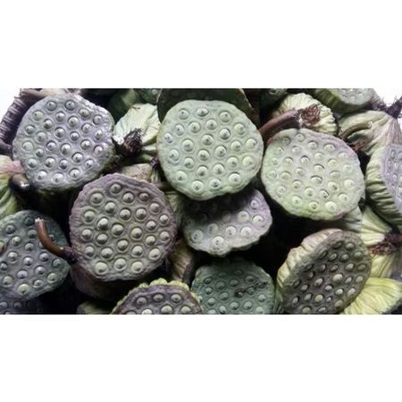 biji teratai / biji lotus segar lengkap dengan tangkainya 1kg | Lazada ...