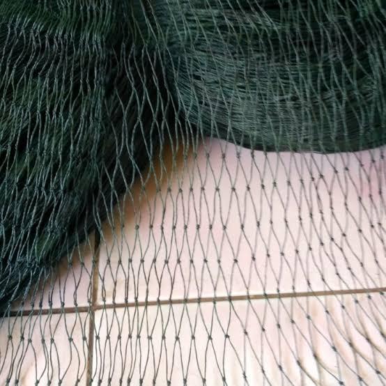 jaring pagar kandang ayam sawah dan kebun 1.5 x25meter | Lazada Indonesia