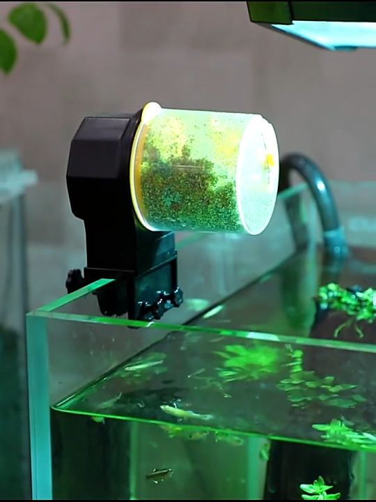 Automatic Feeder Aquarium Goldfish Smart Timing Auto Fish Feeder Timer ...