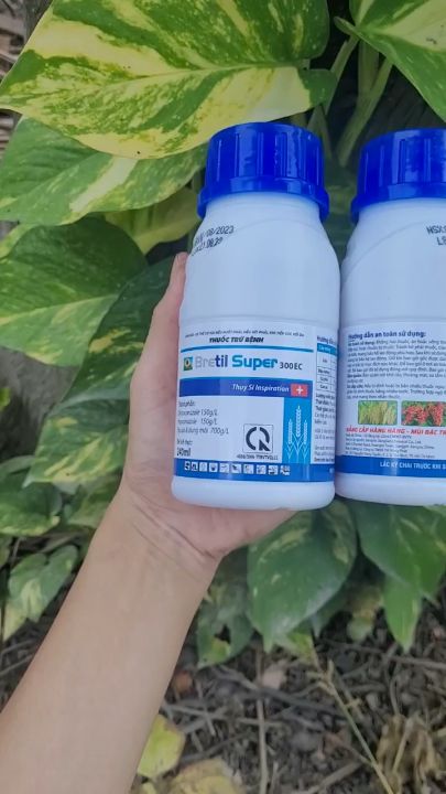 [TRUNG THIEN THINH] Thuốc trừ bệnh rỉ sắt, thán thư, khô vằn, lem lép ...