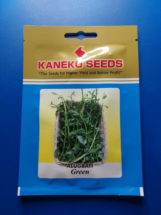Green Alugbati (5 grams) by Kaneko Seeds | Lazada PH