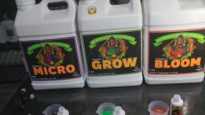 ปุ๋ย pH Perfect® Grow, Micro , Bloom, Advanced Nutrients Combo Set 3 ขวด | Lazada.co.th