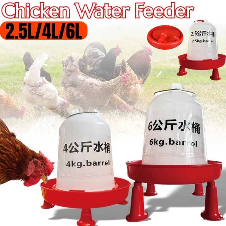 Automatic With Bracket Chicken Feeder Drinker Fowl Chicken Poultry ...