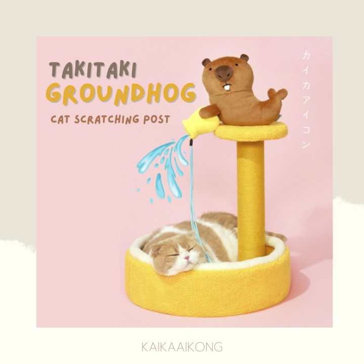 TAKITAKI Groundhog Cat Scratching Post by PURLAB เสาลับเล็บน้ำพุพี่ ...