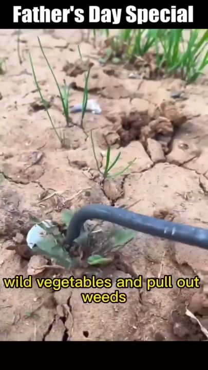 Kalaykay with handle heavy duty Rake with handle hoe Garden tools ...