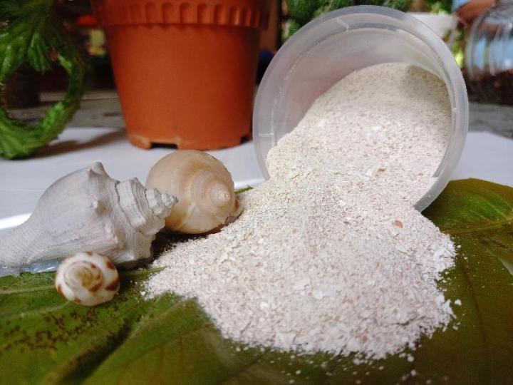 WMD Baja Serbuk Kulit Telur 100g Egg Shell Powder Fertilizer | Lazada