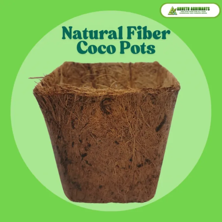 COCO POTS 10PCS / NATURAL COCO FIBER POTS / SQUARE ROUND CUTE POTS FOR ...
