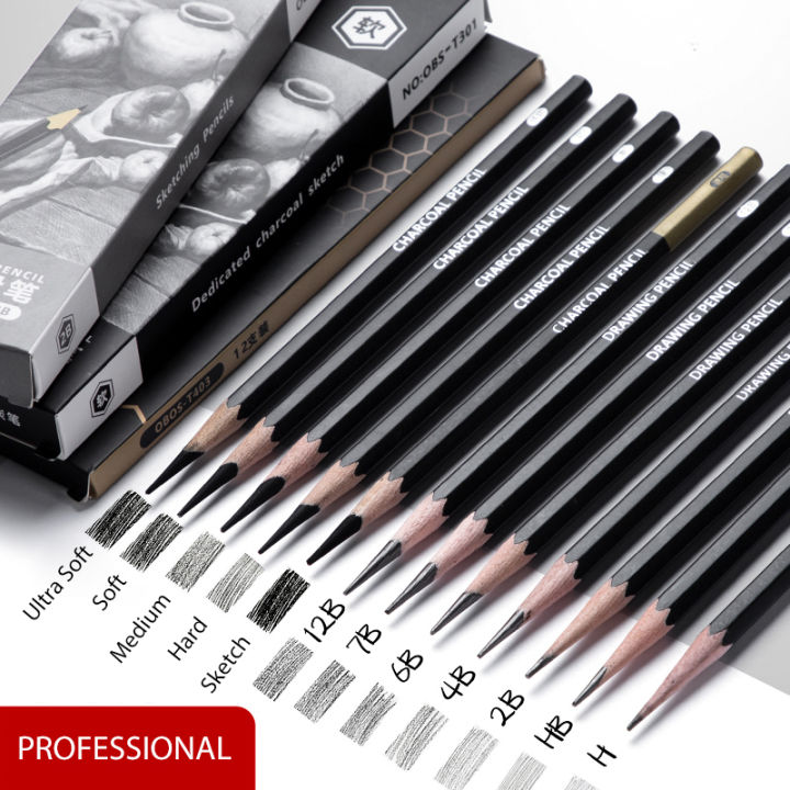 Professional 2H HB B 2B 3B 4B 6B 8B 12B 14B Sketch Drawing Graphite Charcoal Pencils Set Drawing ...
