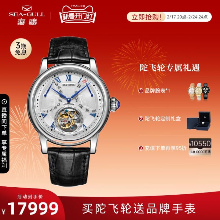 Seagull Men's Mechanical Watch Automatic Flying Tourbillon Business ...