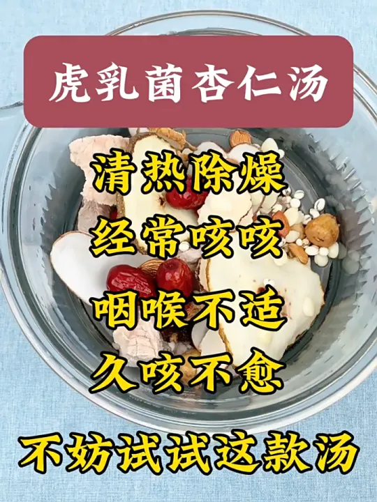 虎奶乳菌汤料包儿童成人咳止润肺润燥杏仁虎奶菌宝宝煲汤材料包 100g | Lazada