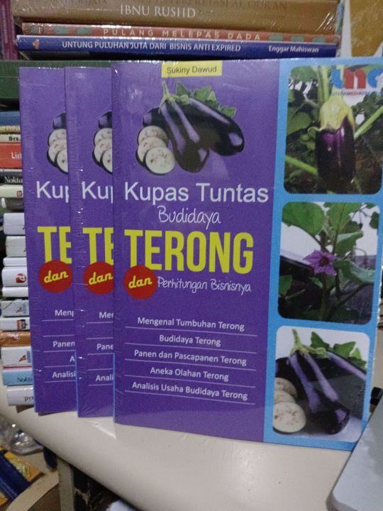 Kupas Tuntas Budidaya Terong dan Perhitungan Bisnisnya | Lazada Indonesia Kupas Tuntas Budidaya Terong dan Perhitungan Bisnisnya | Lazada Indonesia