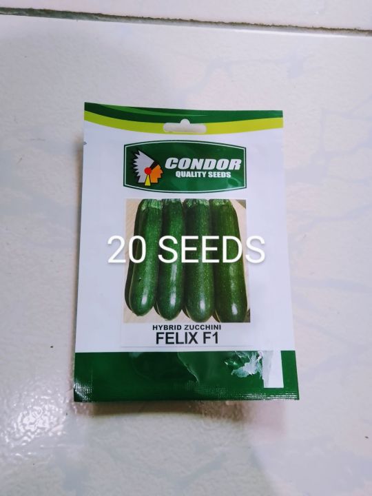 FELIX F1 HYBRID SUCCHINI SEEDS(20 seeds)CONDOR SEEDS | Lazada PH
