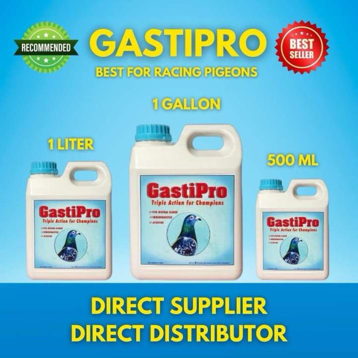 GastiPro Triple Action for Champions Best Racing Pigeons - 500ml, 1 ...
