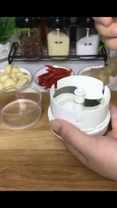 Mini Food Chopper Hand Pull Garlic Grinder Onion Ginger Masher Shredder ...