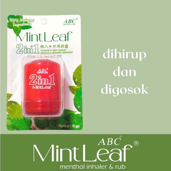 MINTLEAF 2in1 INHALER & RUBBING OINTMENT | Lazada PH