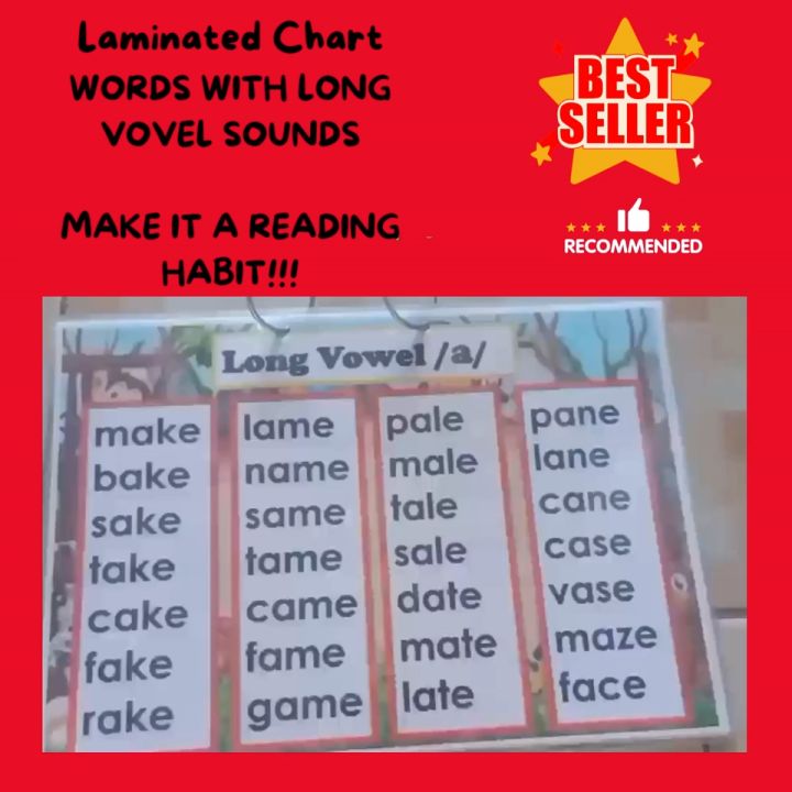 Laminated Reading Materials for Kids / Words with Long Vowel Sounds/ Educational Flash cards ...