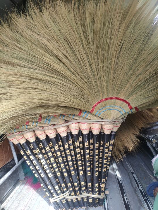 Walis Tambo Buslo Baguio | Lazada PH