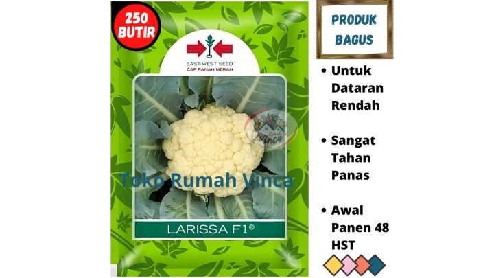 Benih Biji Bibit Bunga Kol LARISSA F1 250 Butir dari Cap Panah Merah ...