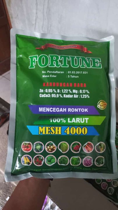 Kalsium Ratu Fortune Pencegah Rontok Daun & Bunga Tanaman (Anti Jamur ...