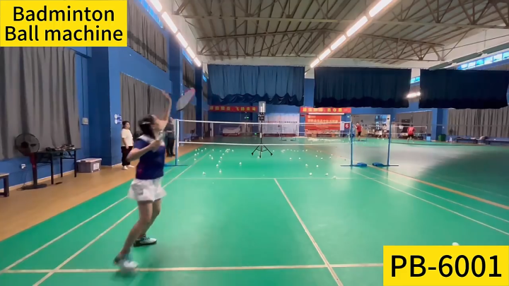 【New】 PUSUN Hot Sales PB6001-PRO Automatic Badminton Ball Machine ...
