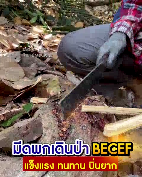 BECEF มีดเดินป่า มีดพกเดินป่า มีดอีโต้พกพา พร้อมซองหนังเก็บมีด | Lazada ...