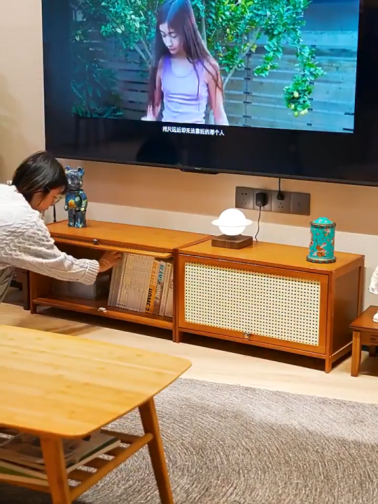 Bamboo TV Rack Cabinet 1 Layer 60/80cm Flip Door Bookcase Imitation ...