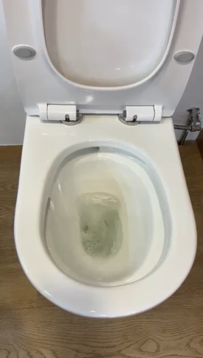 (READY STOCK) Vera A032T One-Piece Toilet Bowl (TORNADO FLUSH) | Lazada ...