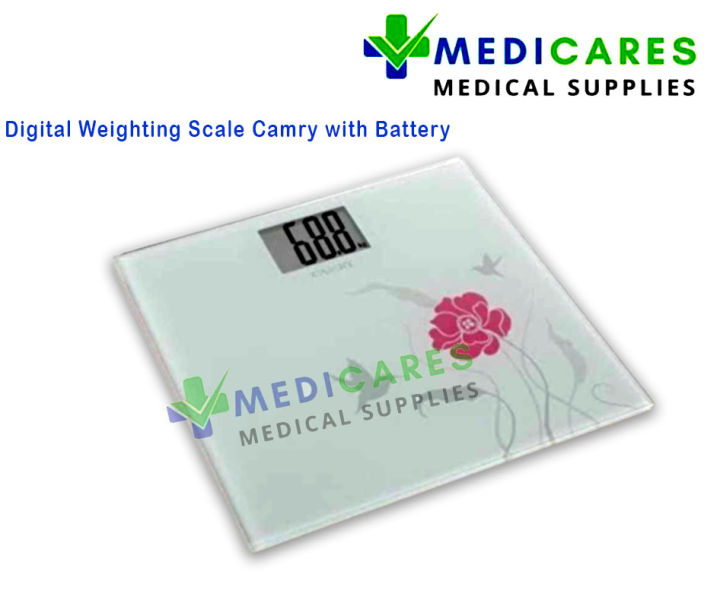 Camry Digital Weighing Scale With Battery (Assted Design) | Lazada PH