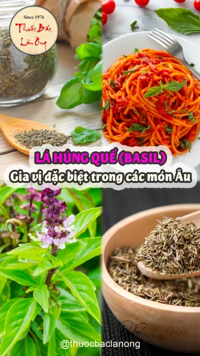 Lá húng quế tây khô 100g (Lá Basil nguyên liệu món Âu chuẩn vị) - Lãn ...