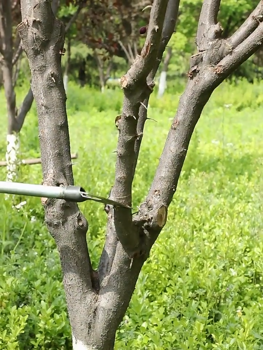 Steel handle double cutting sickle, agricultural weeding tool, lawn ...