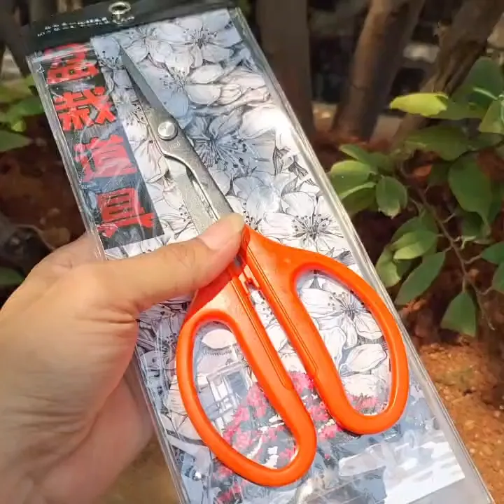 Gunting Prunning Daun Ranting Buah Dan Tanaman Lainnya Panjang 20cm ...