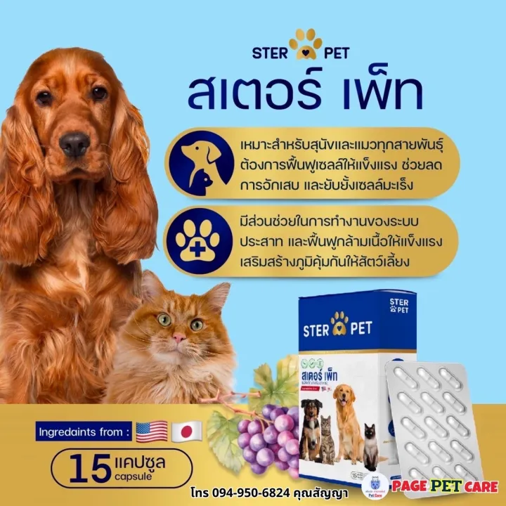 สินค้าแนะนำ Ster pet ( สเตอเพ็ท) ดูแลสัตว์เลี้ยงครบวงจร ราคาเพียง 2,230 ...