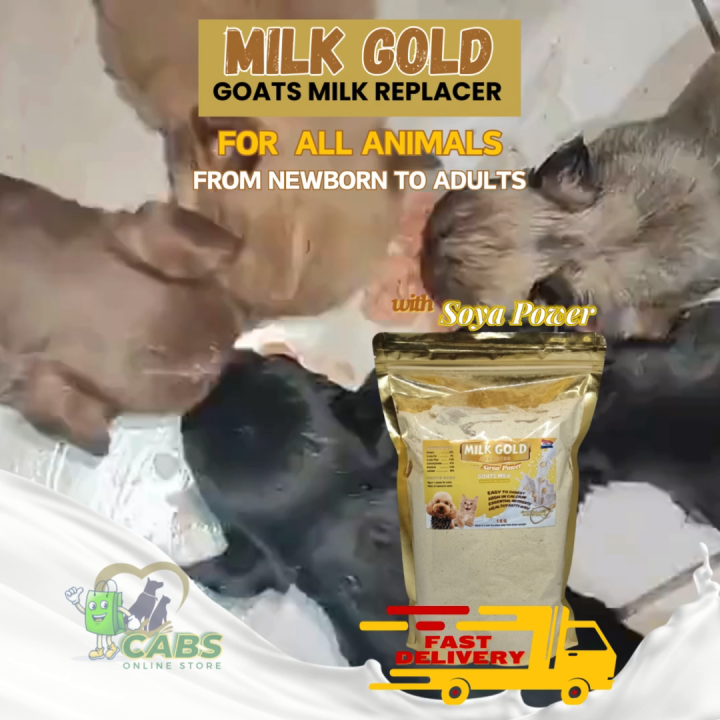 Milk Gold ADVANCED 1kg with soya power goatsmilk (milk replacer for ...